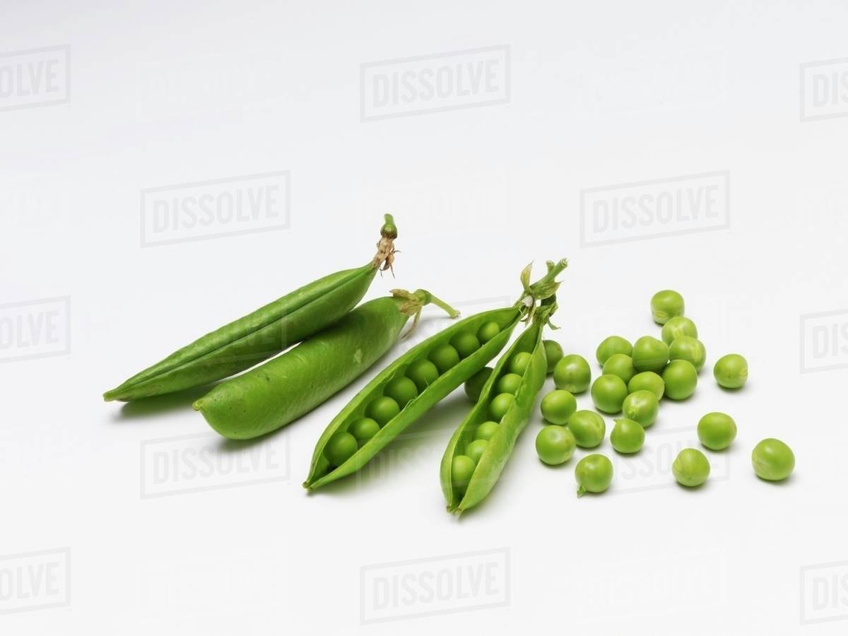 Four pea pods on a white surface - Royalty-free Stock Photo | Dissolve