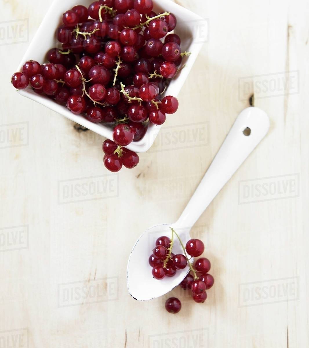 Organic Red Currants - Royalty-free Stock Photo | Dissolve