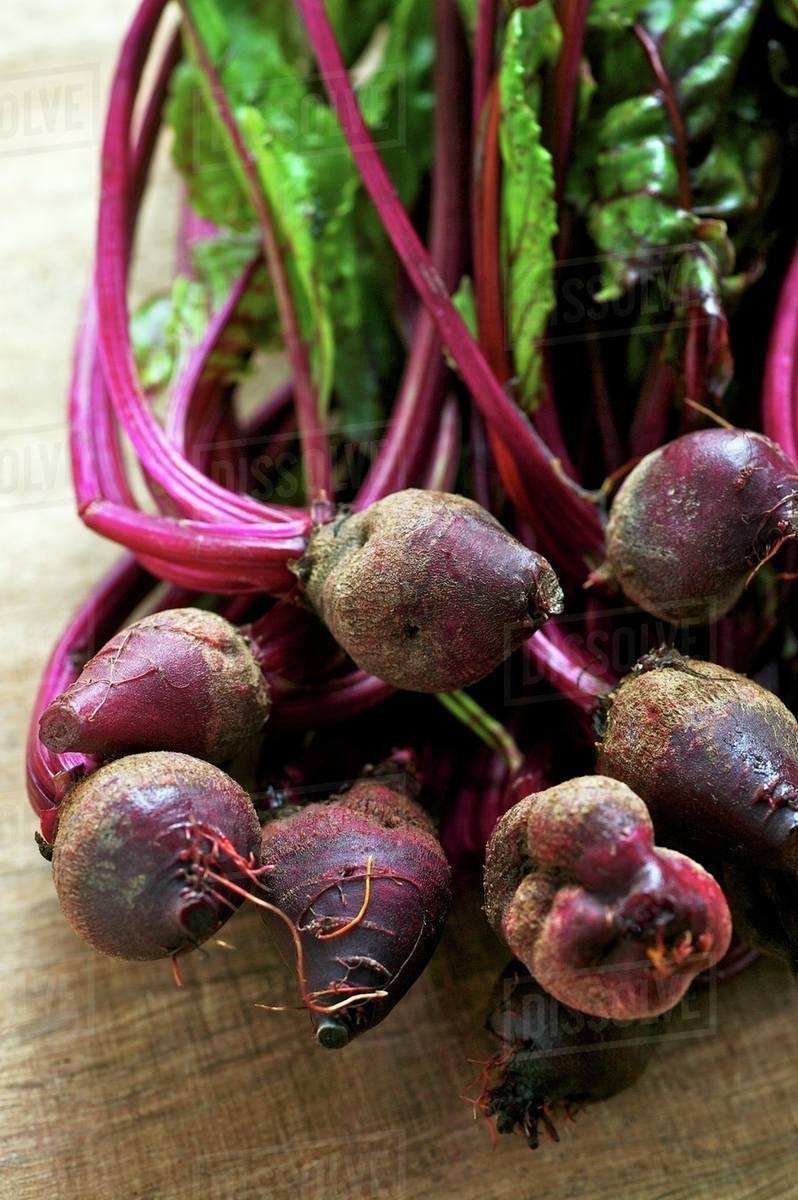 Fresh beetroot - Royalty-free Stock Photo | Dissolve
