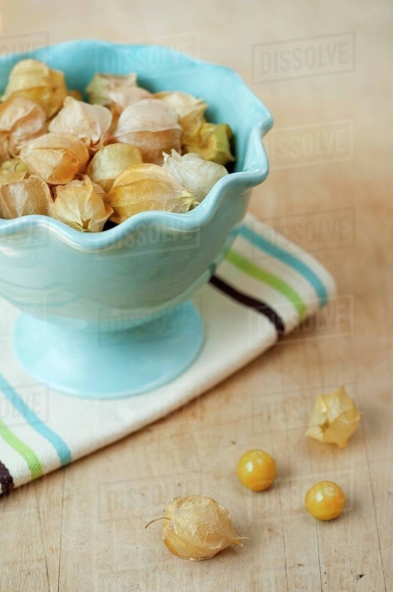 Husk Cherries (Ground Cherries) from Thirty Acre Farm in Whitefield ...
