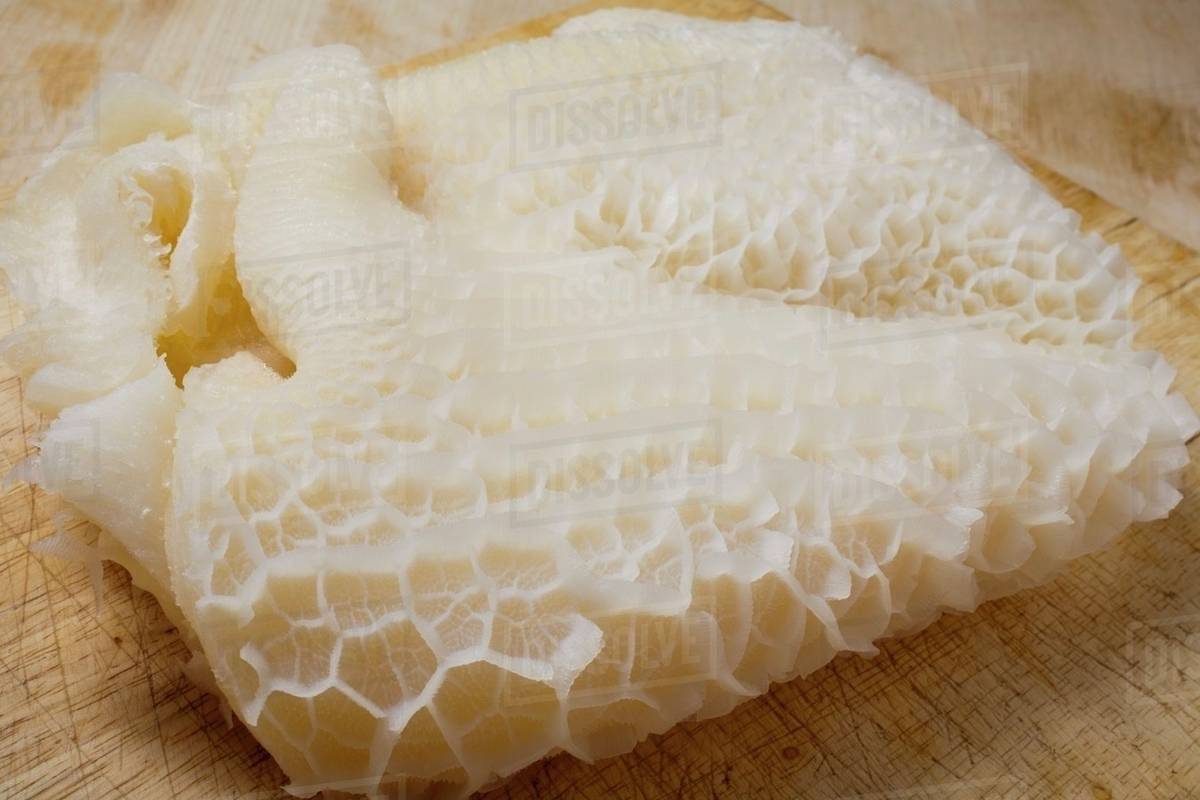 Honeycomb Tripe - Royalty-free Stock Photo | Dissolve