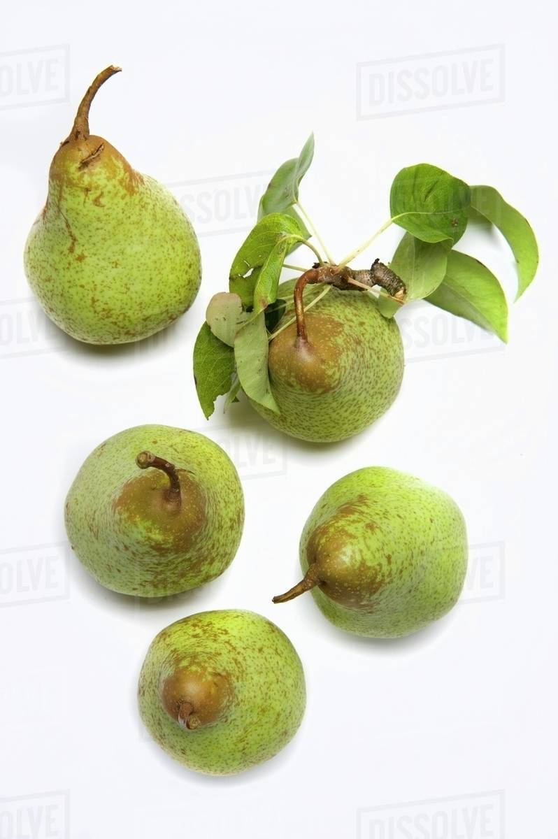 Five pears - Stock Photo - Dissolve