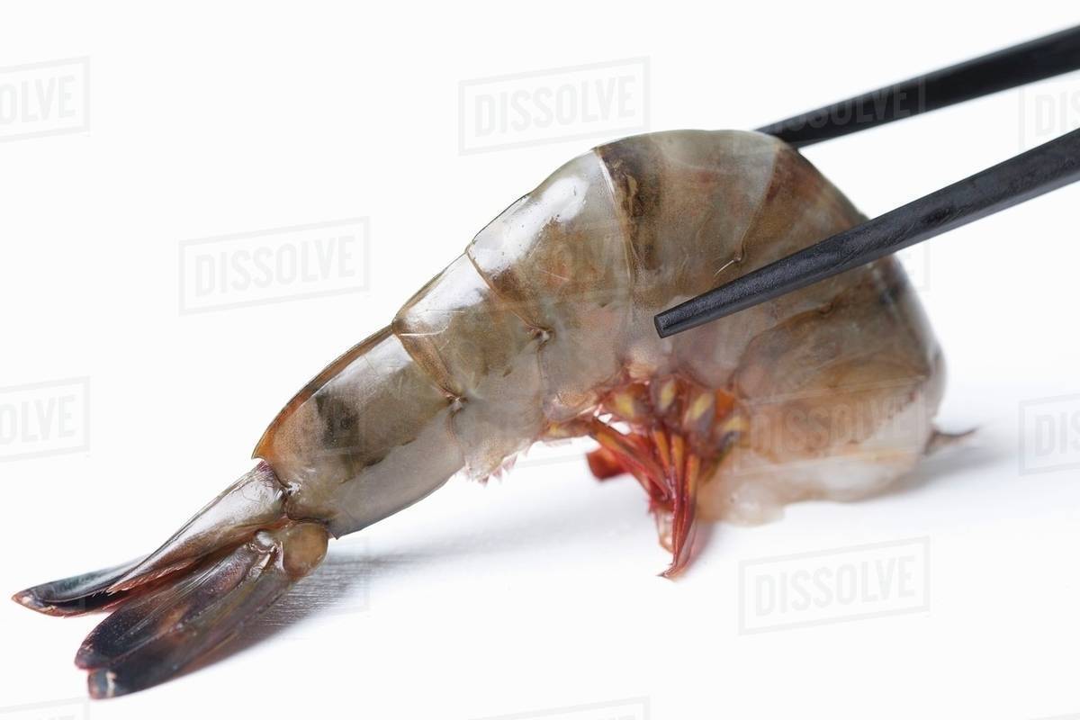 Raw prawn held in chopsticks (close-up) - Stock Photo - Dissolve