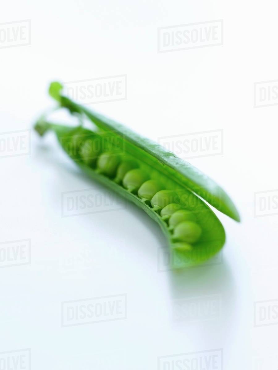 Pea pod, opened - Stock Photo - Dissolve