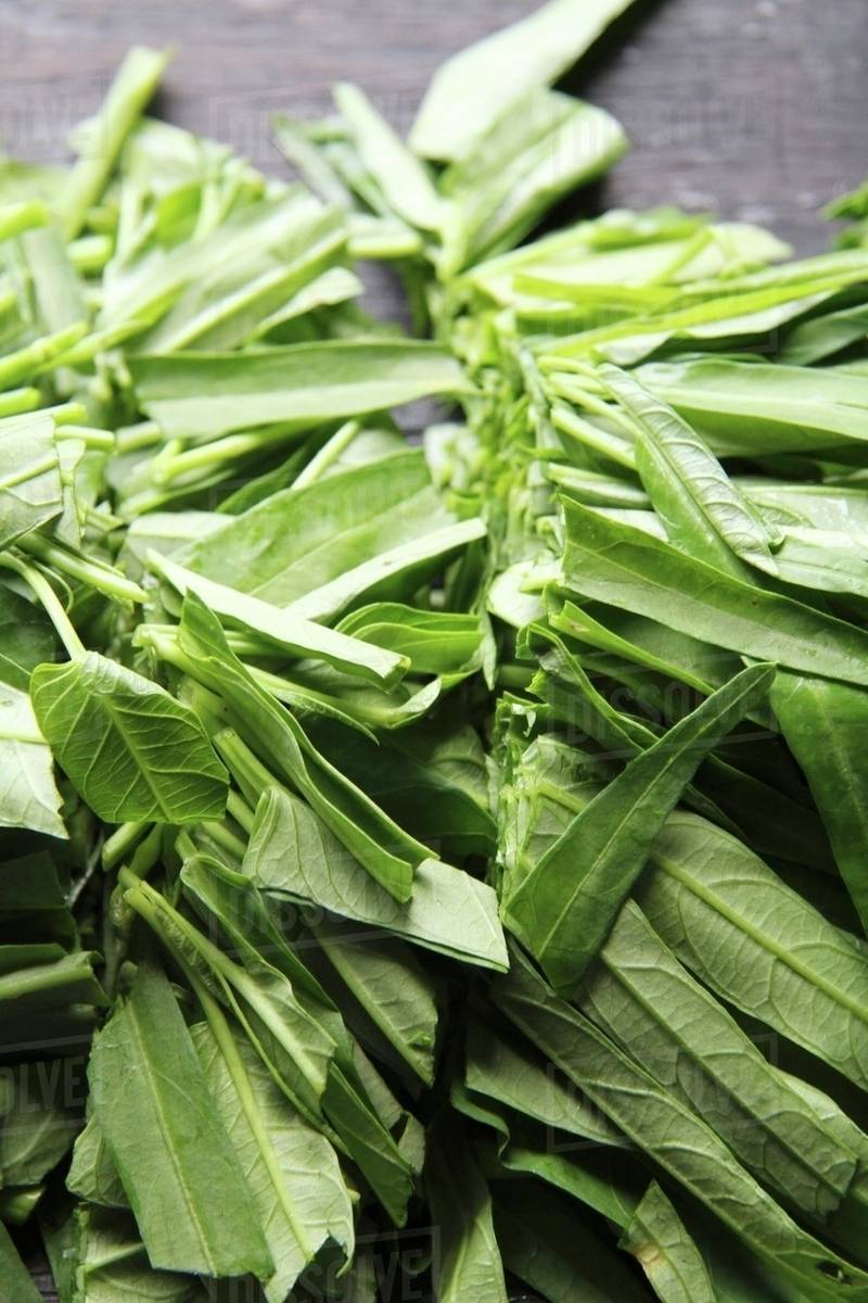 Fresh water spinach - Stock Photo - Dissolve
