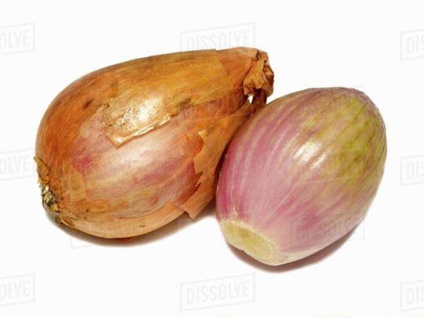 Two shallots - Stock Photo - Dissolve