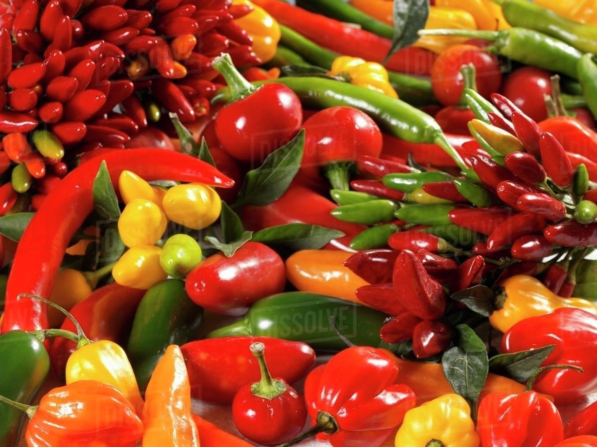 Assorted chillies - Royalty-free Stock Photo | Dissolve