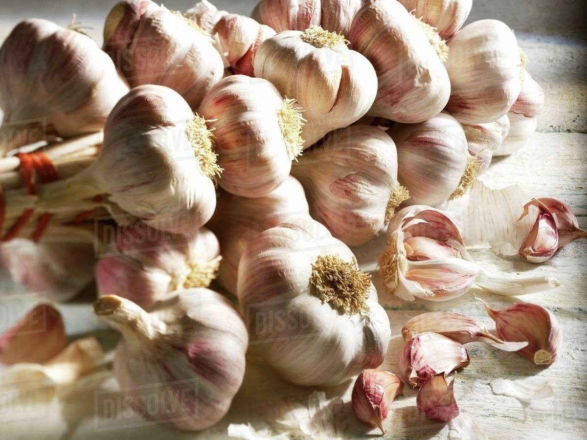 Garlic rope - Royalty-free Stock Photo | Dissolve