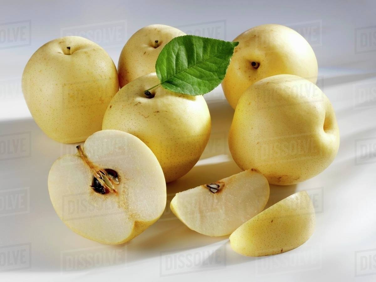 Nashi pears - Royalty-free Stock Photo | Dissolve