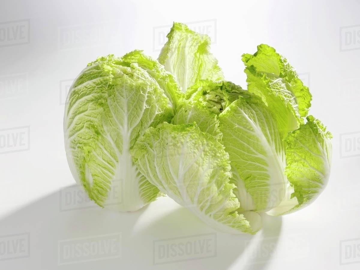Two heads of Chinese cabbage - Royalty-free Stock Photo | Dissolve