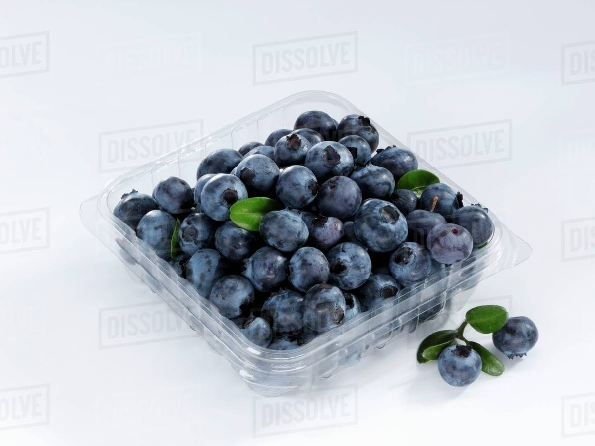 Fresh blueberries in a plastic punnet - Stock Photo - Dissolve