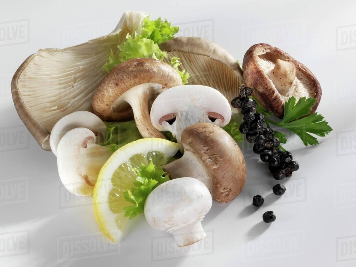 Button mushrooms, shiitake mushrooms and oyster mushroom - Stock Photo ...