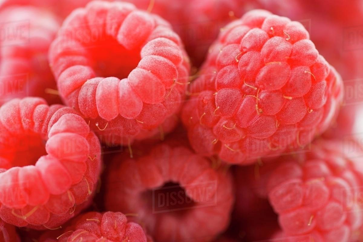 Fresh raspberries - Royalty-free Stock Photo | Dissolve