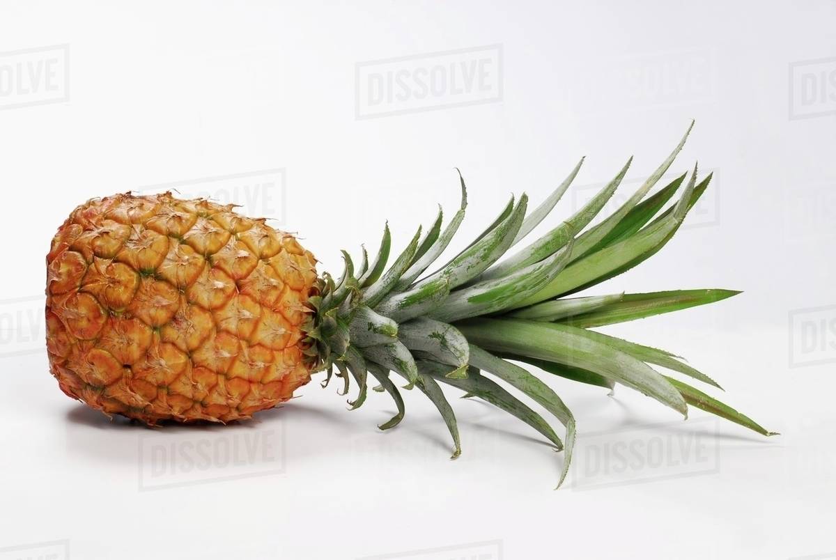 A pineapple, lying on its side - Royalty-free Stock Photo | Dissolve