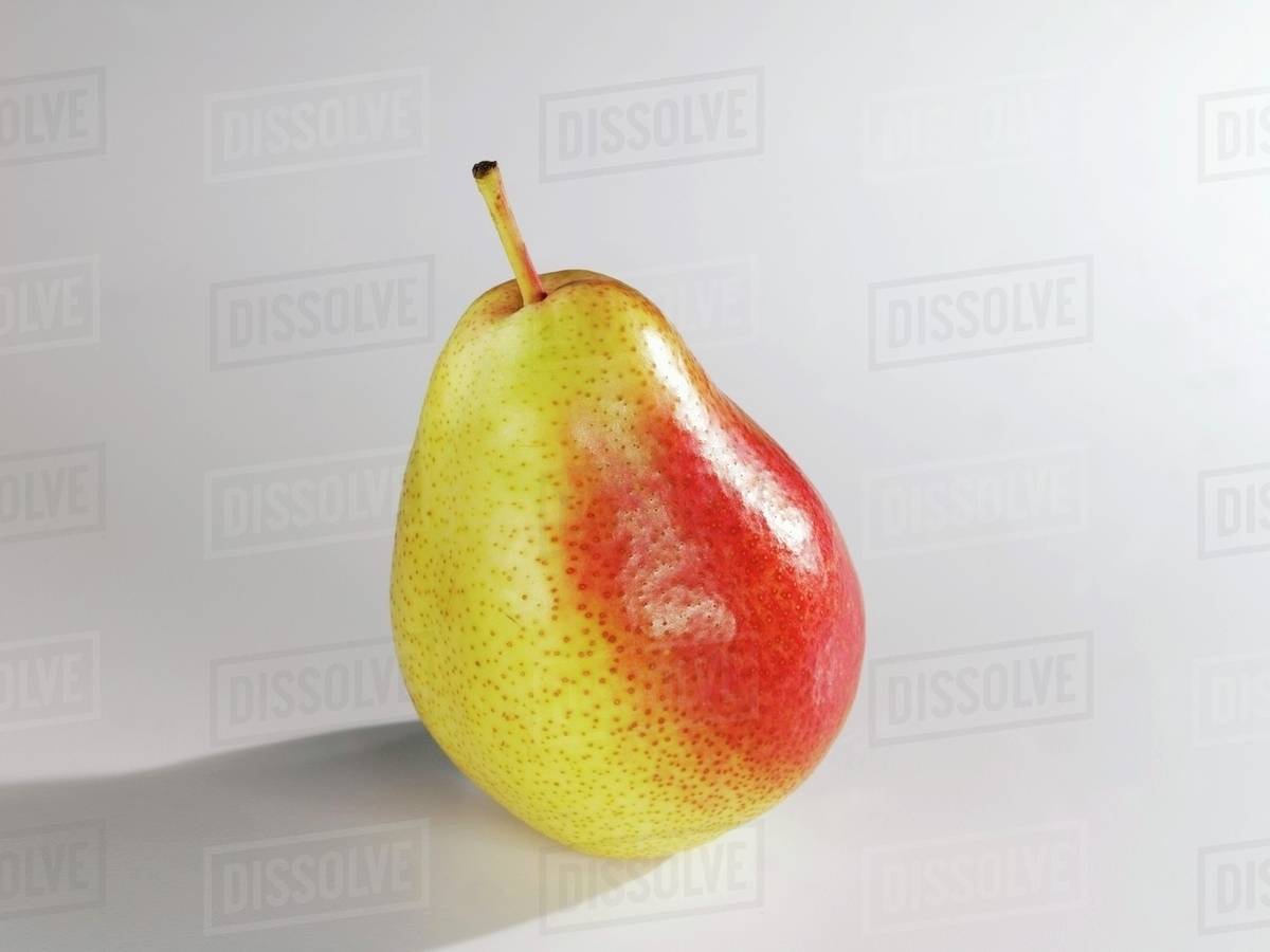 A 'Forelle' pear - Royalty-free Stock Photo | Dissolve