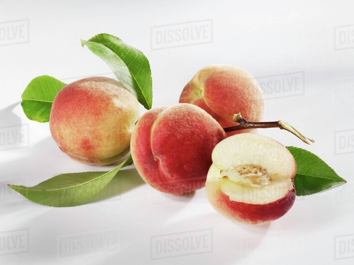 Four white peaches - Royalty-free Stock Photo | Dissolve