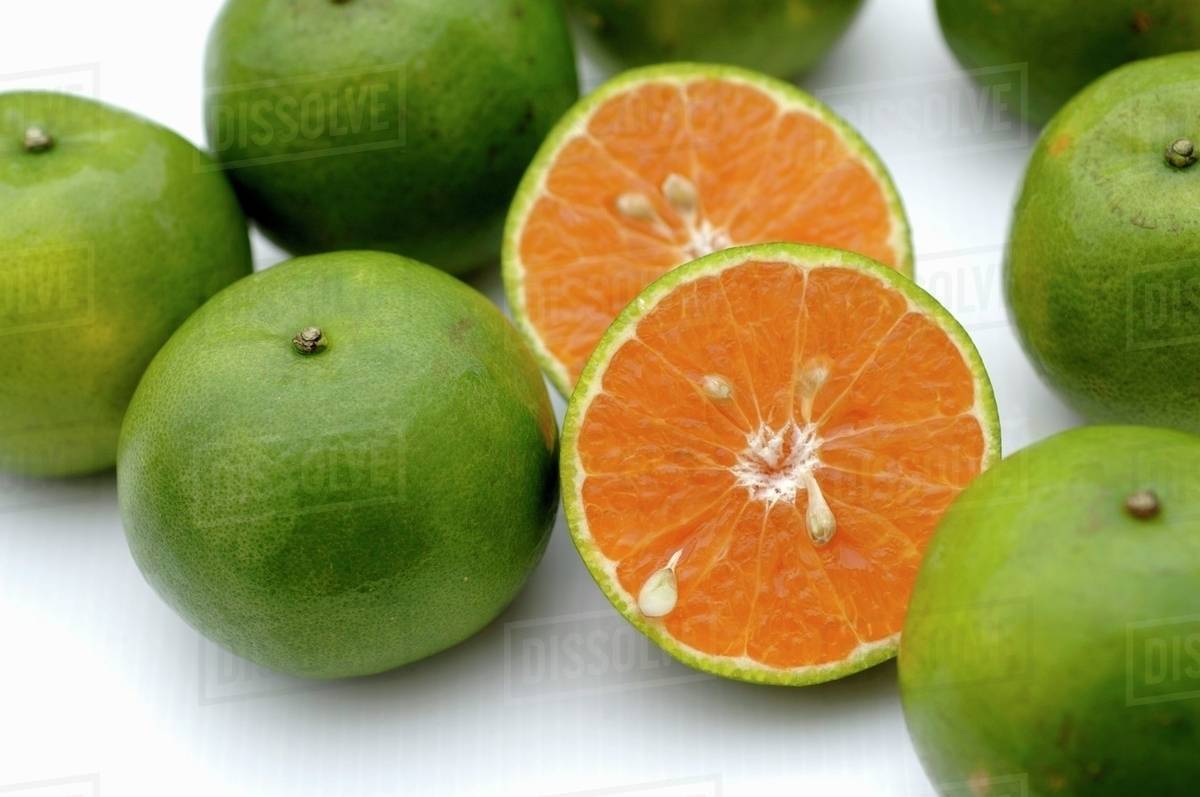 Whole tangerines and one halved tangerine - Royalty-free Stock Photo ...