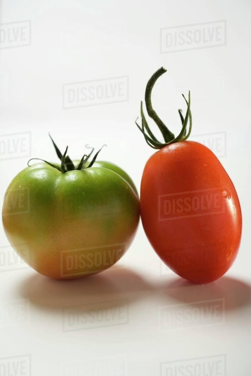 Two different tomatoes - Stock Photo - Dissolve