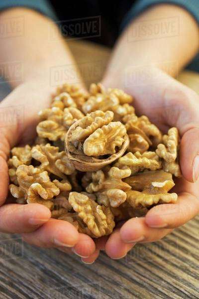 Hands holding walnuts - Royalty-free Stock Photo | Dissolve