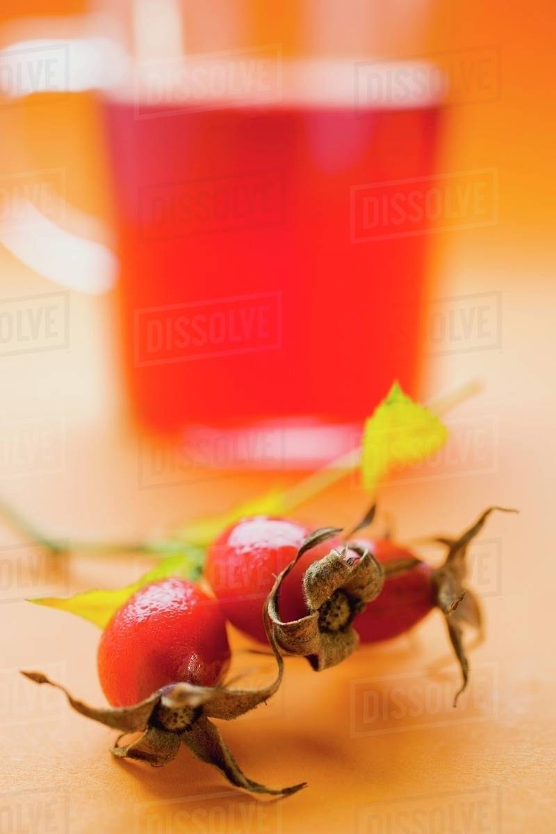 Rose hip tea in glass cup, sprig of fresh rose hips - Royalty-free ...