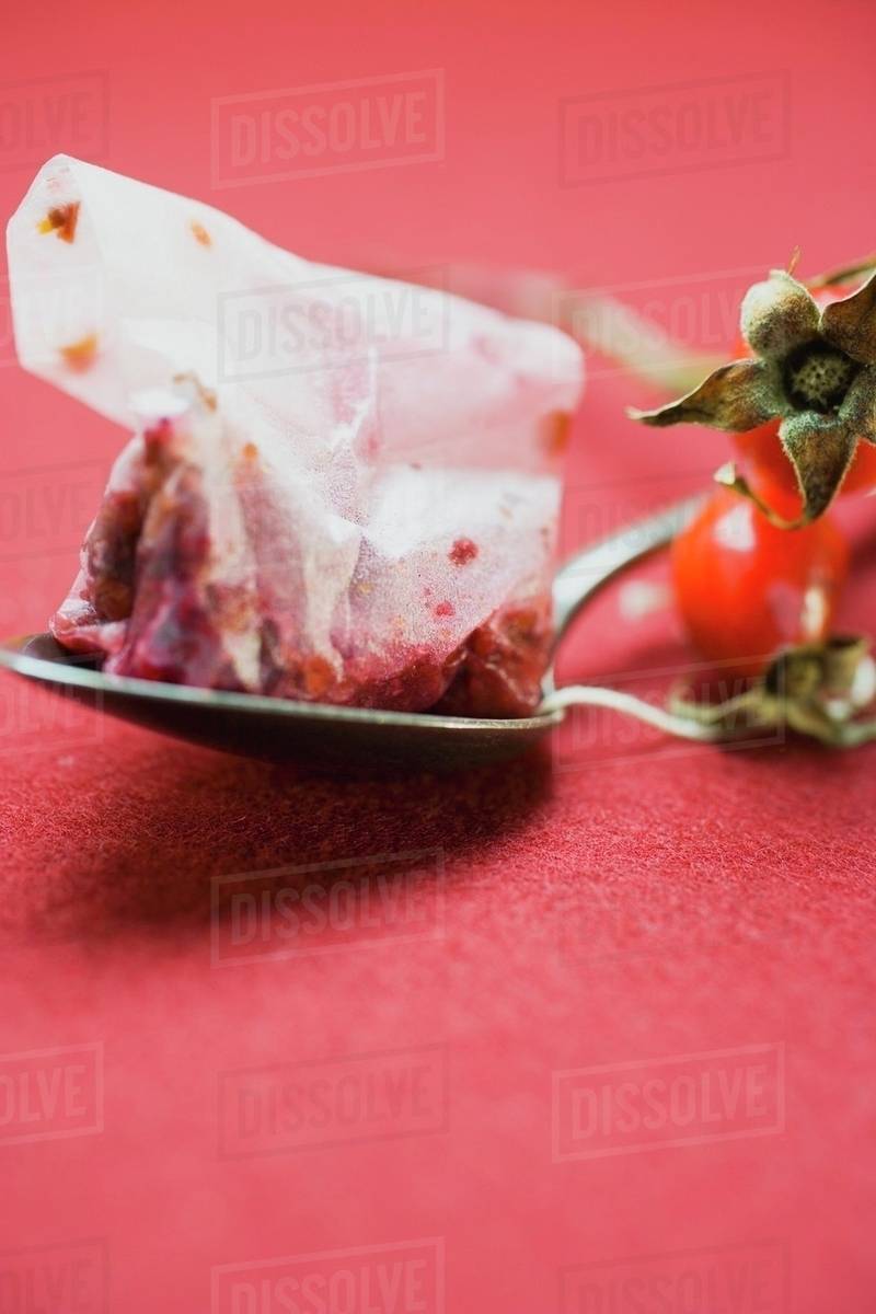 Tea bag on spoon, fresh rose hips - Royalty-free Stock Photo | Dissolve