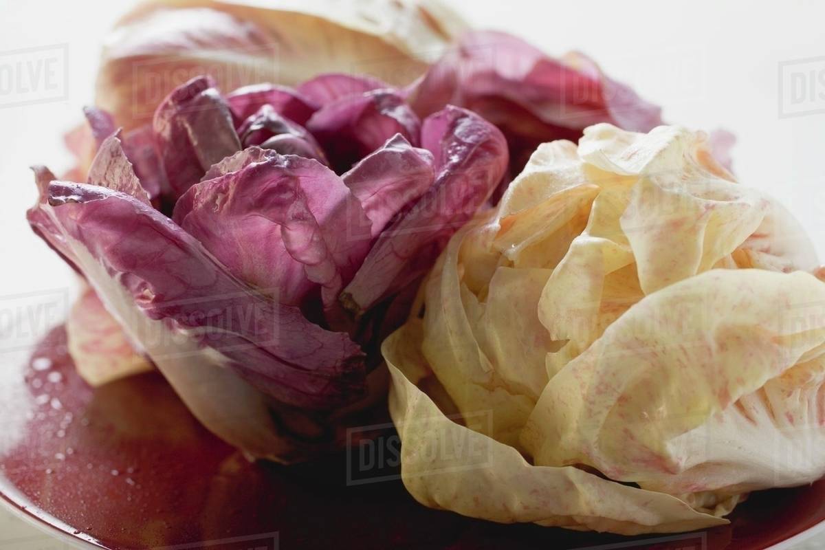 Different types of radicchio (close-up) - Royalty-free Stock Photo ...