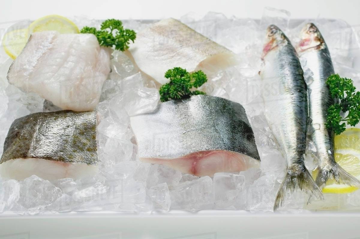 Various types of fish on a platter of ice - Royalty-free Stock Photo ...