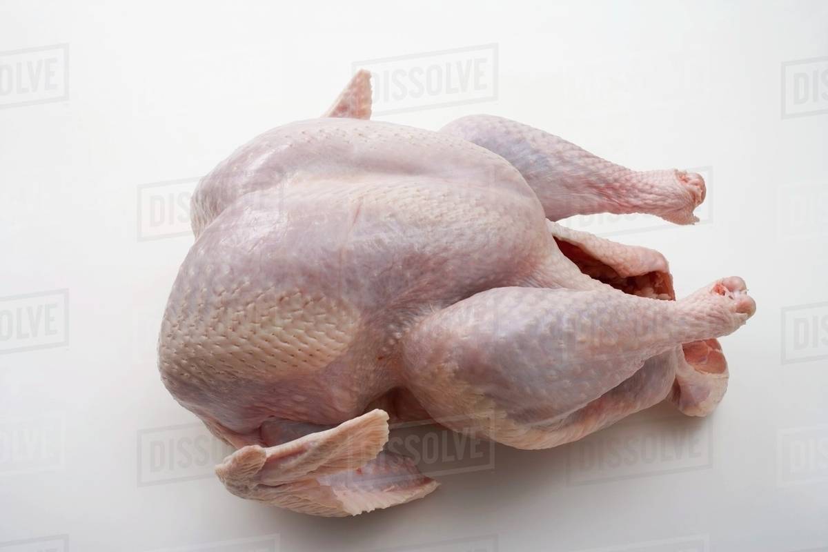 Whole fresh turkey - Stock Photo - Dissolve