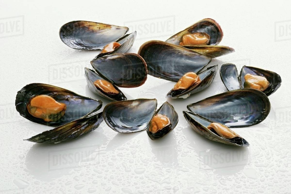 Mussels, opened, with drops of water - Royalty-free Stock Photo | Dissolve