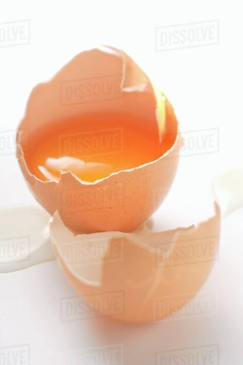 An egg, broken open - Stock Photo - Dissolve
