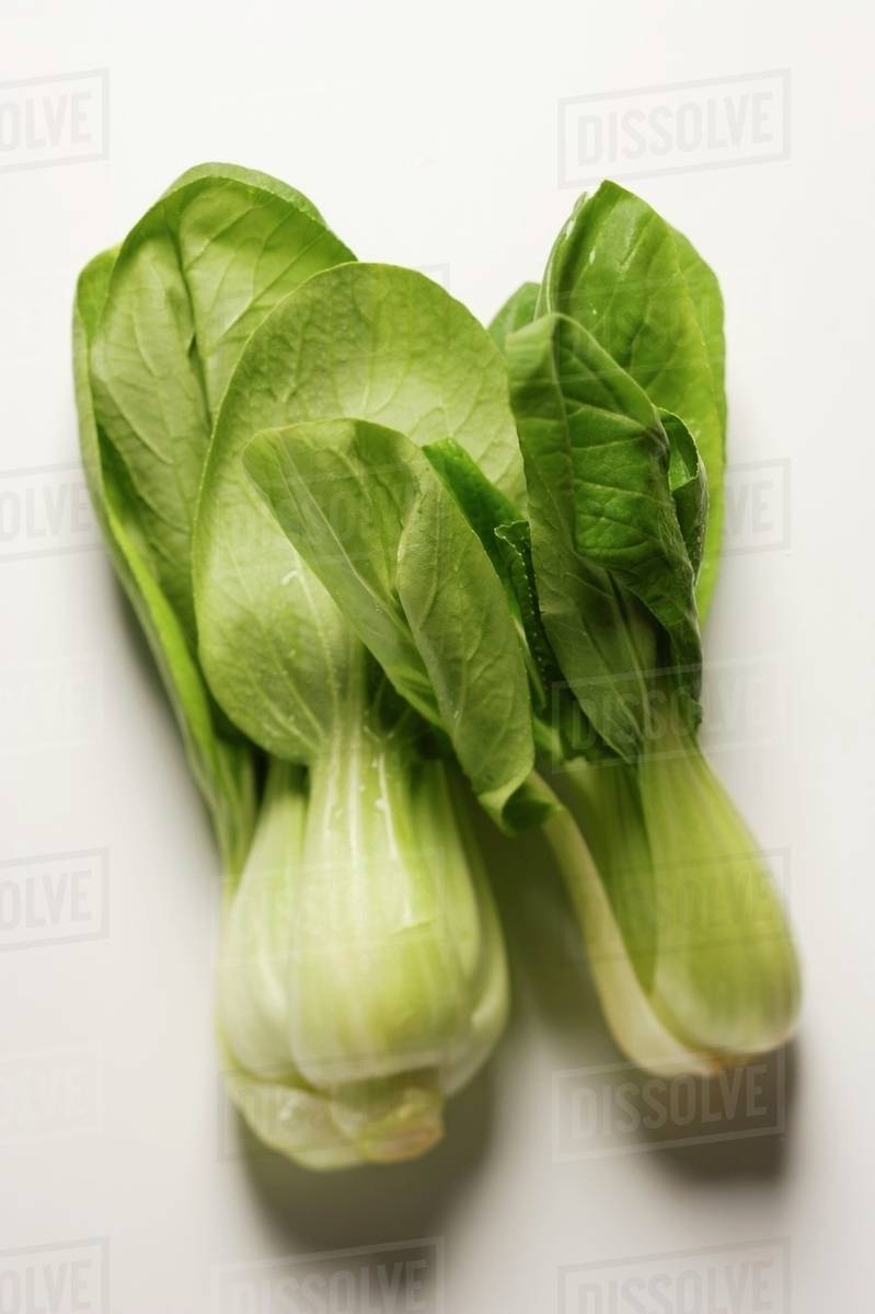 Baby pak choi - Royalty-free Stock Photo | Dissolve