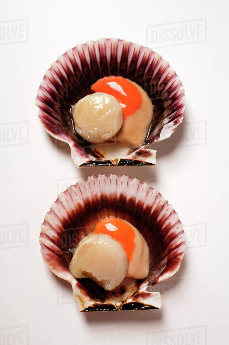 Two scallops in their shells - Royalty-free Stock Photo | Dissolve