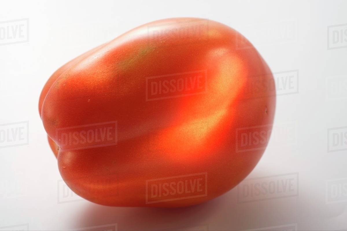 A tomato (lying on its side) - Stock Photo - Dissolve