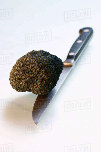 Black truffle with knife - Royalty-free Stock Photo | Dissolve