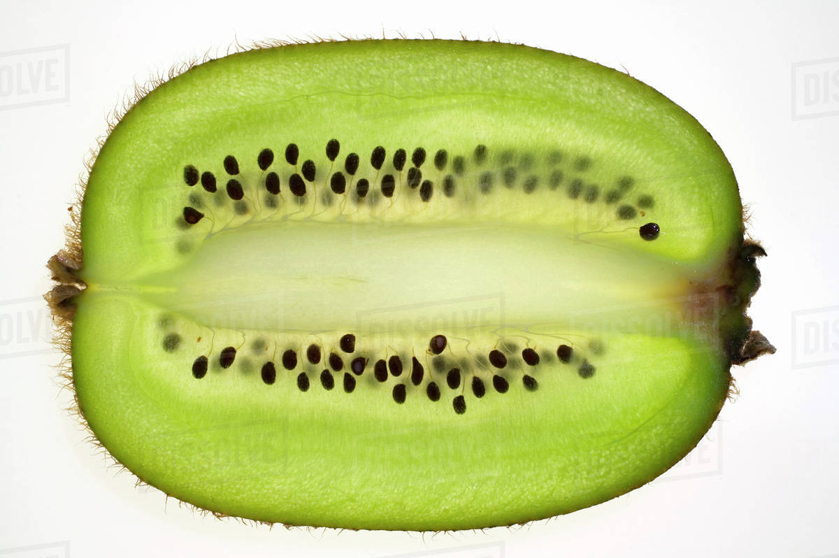 Kiwi fruit (lengthwise slice), backlit - Stock Photo - Dissolve