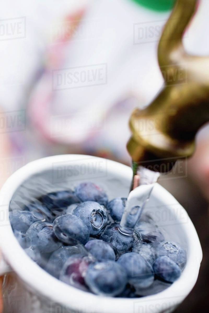 Washing blueberries - Royalty-free Stock Photo | Dissolve