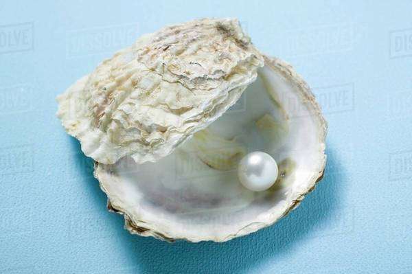 Pearl in oyster shell - Royalty-free Stock Photo | Dissolve