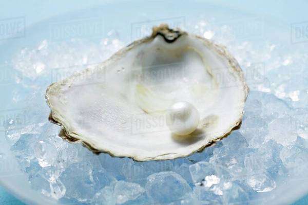 Pearl in oyster shell on crushed ice - Royalty-free Stock Photo | Dissolve