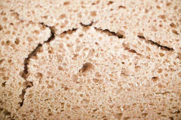 Wholemeal bread, showing a cut surface (detail) - Stock Photo - Dissolve