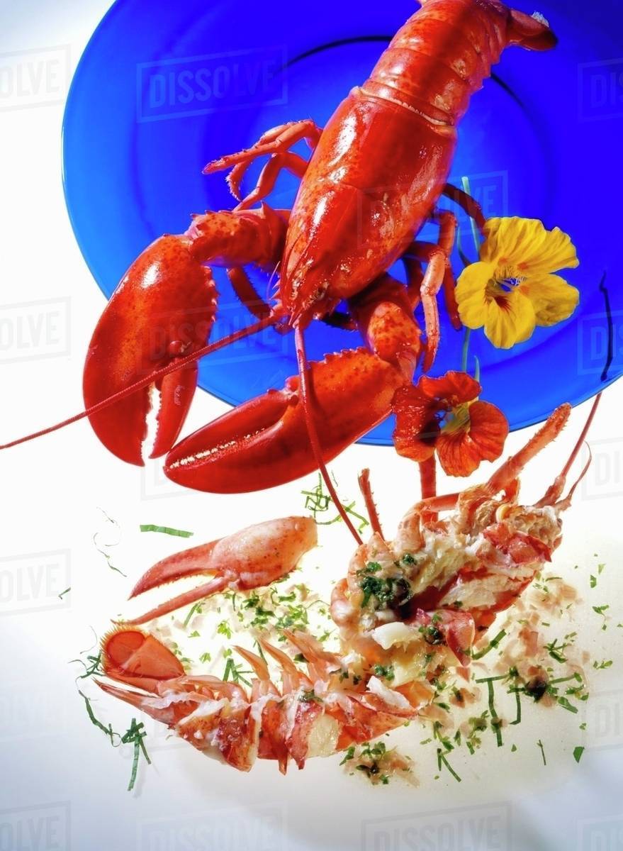 Cooked lobster, whole and in pieces - Royalty-free Stock Photo | Dissolve