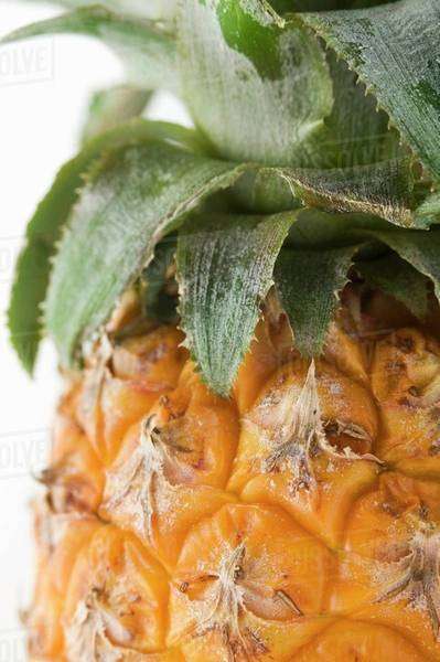 Pineapple (close-up) - Royalty-free Stock Photo | Dissolve