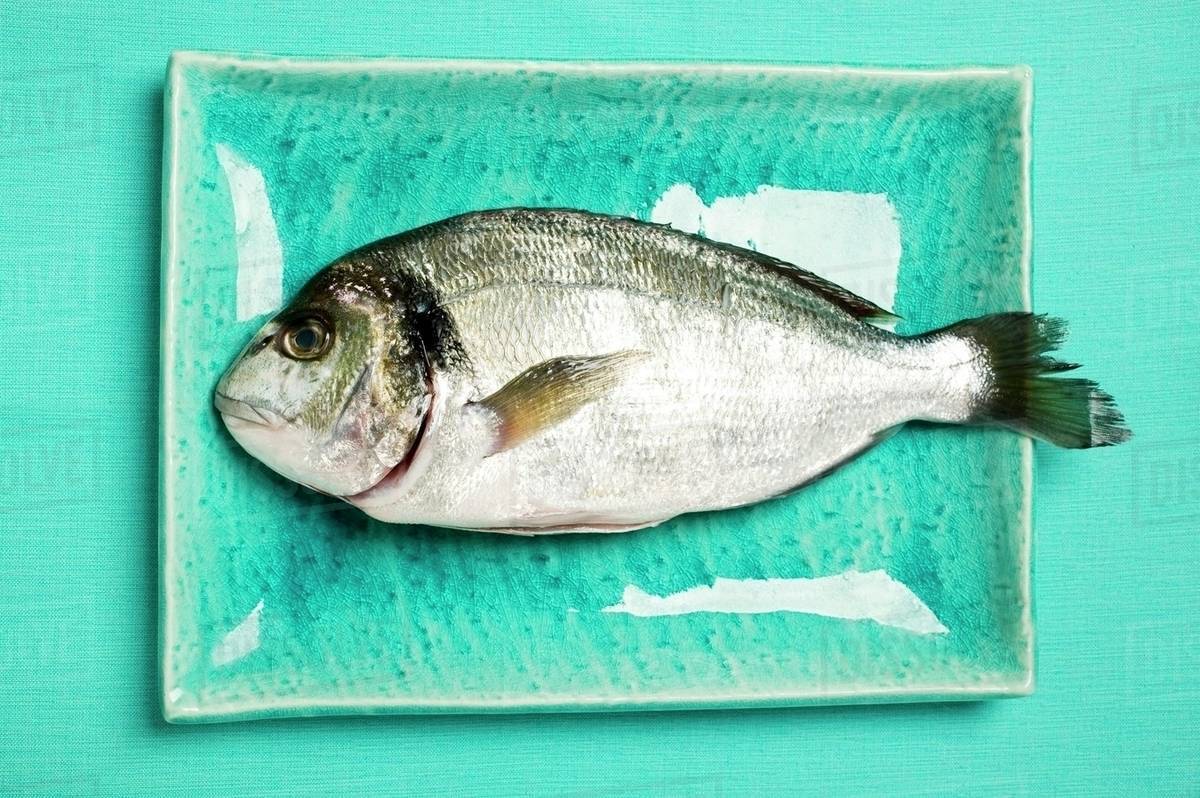 Fresh sea bream on blue plate - Royalty-free Stock Photo | Dissolve