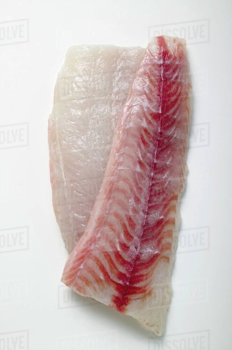 Two redfish fillets - Royalty-free Stock Photo | Dissolve