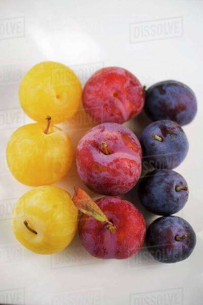 Different types of plums in rows (overhead view) - Royalty-free Stock ...