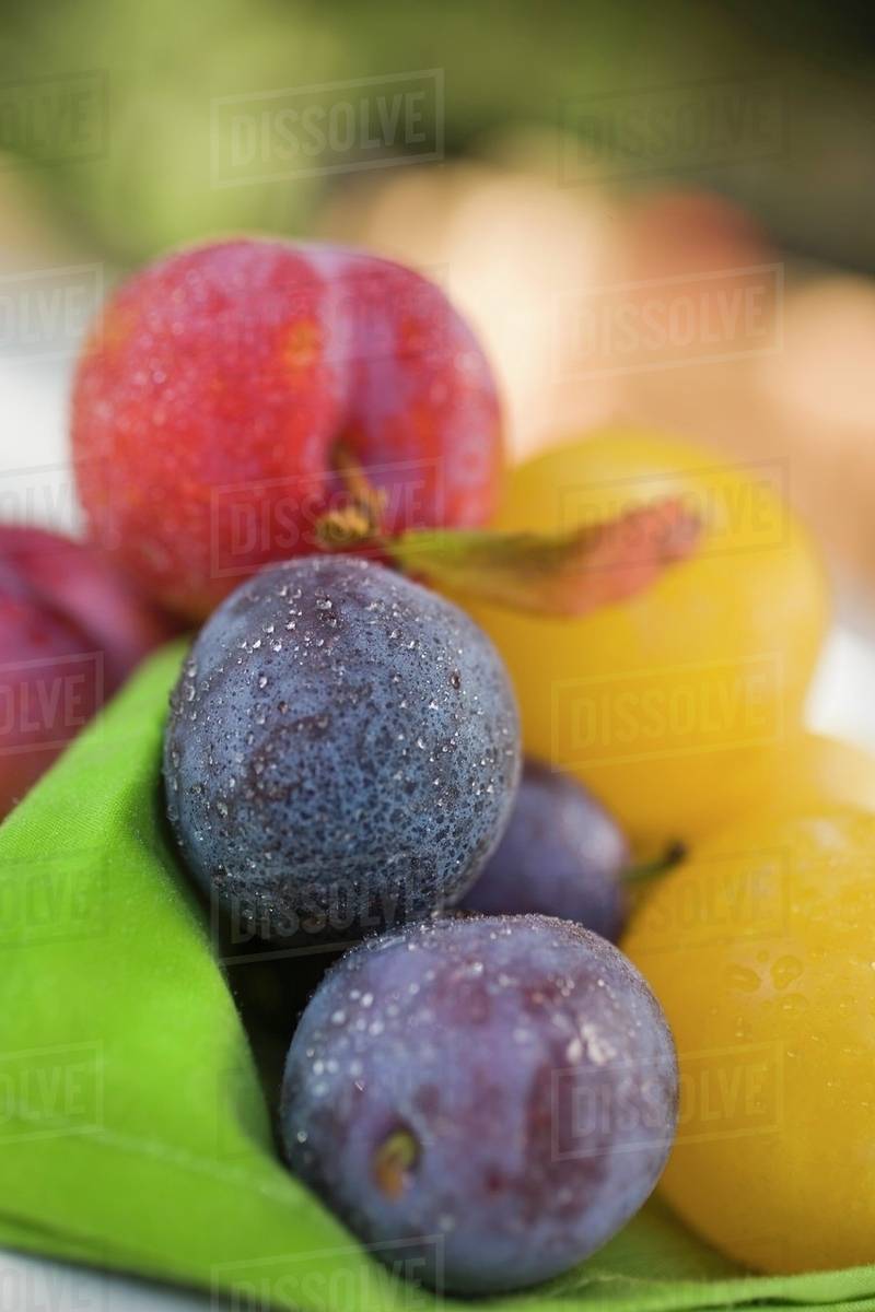 Different types of plums - Royalty-free Stock Photo | Dissolve