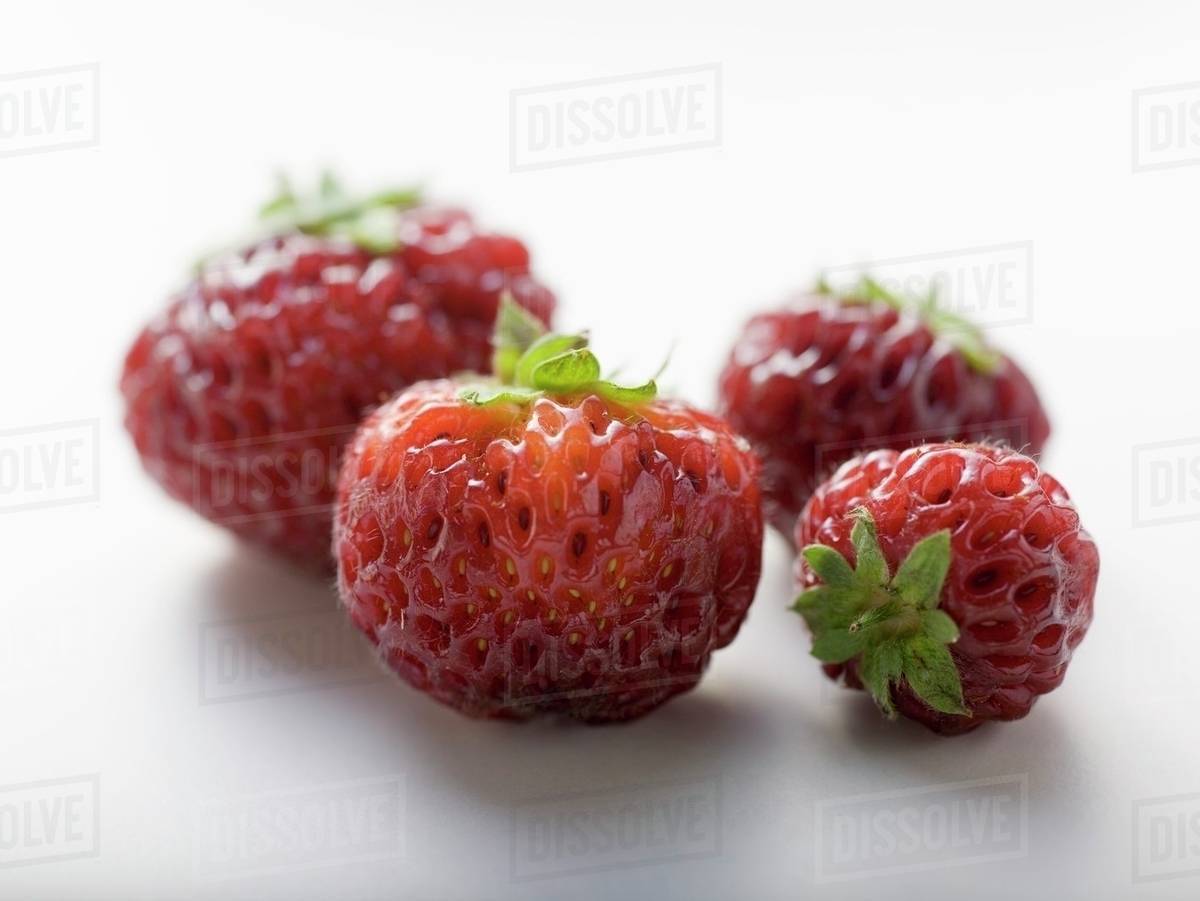 Four strawberries - Royalty-free Stock Photo | Dissolve