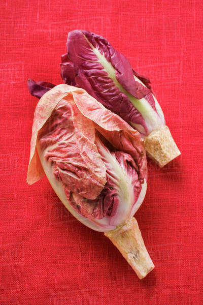 Two different types of radicchio - Royalty-free Stock Photo | Dissolve