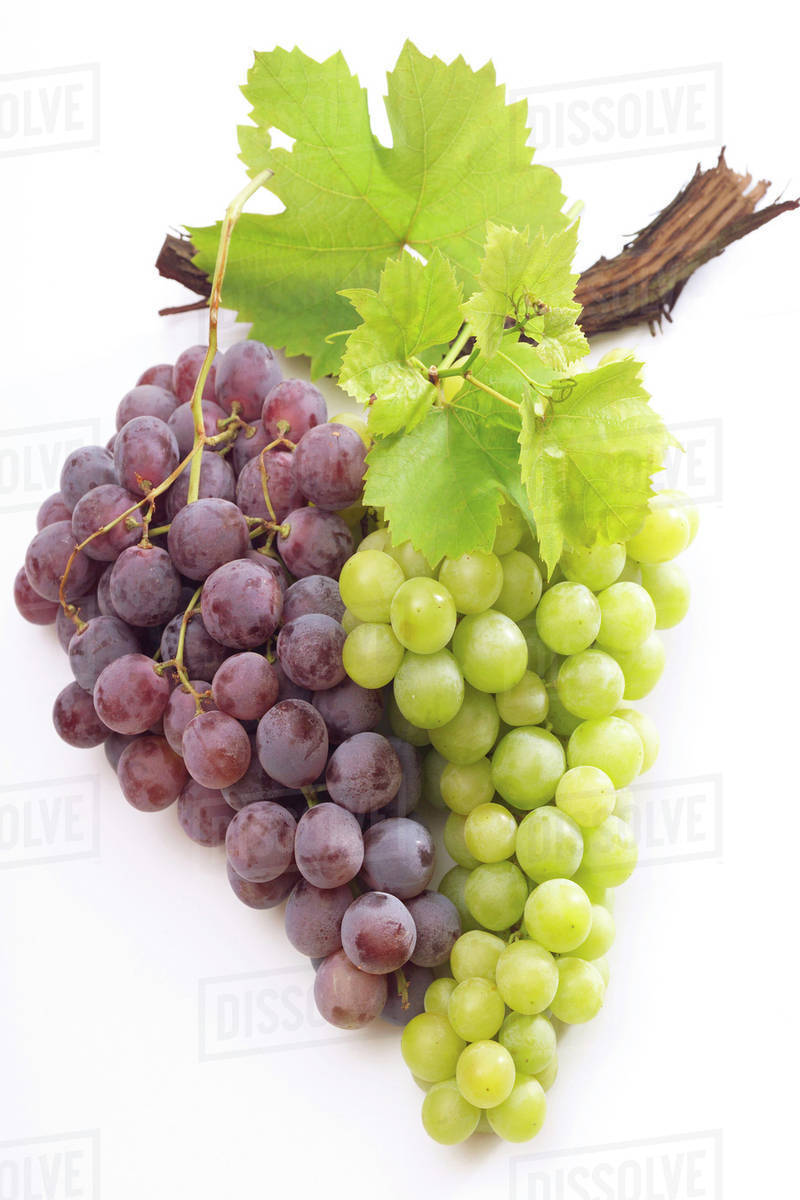 Red and white grapes - Stock Photo - Dissolve