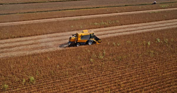 Agricultural farm combine harvester on industrial corn maize field ...
