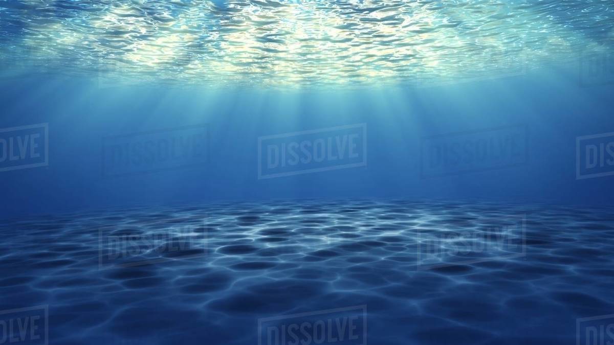 A Glimpse of Sunlight in the Deep Blue Sea. This underwater video ...